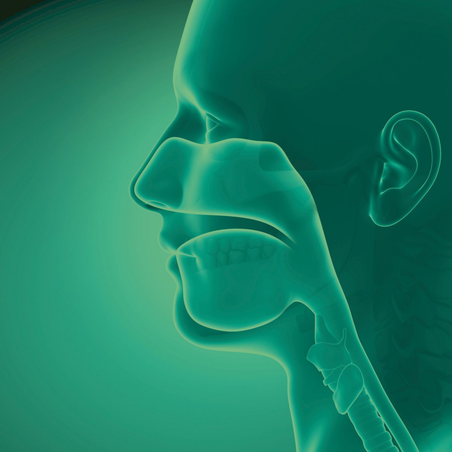 Consultation gratuite de dépistage des cancers ORL : Inscrivez-vous ...