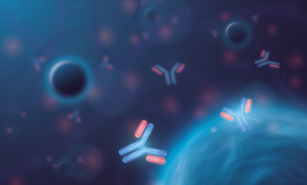 Réponse immunitaire après vaccination anti-COVID19 chez les patients ...